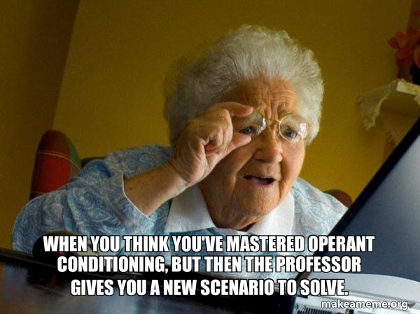 When you think you've mastered operant conditioning, but then the ...