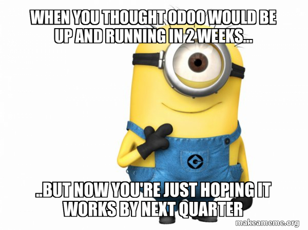 When you thought Odoo would be up and running in 2 weeks... ..but now ...