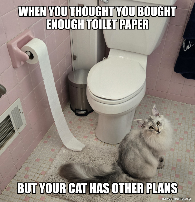 When you thought you bought enough toilet paper But your cat has other ...