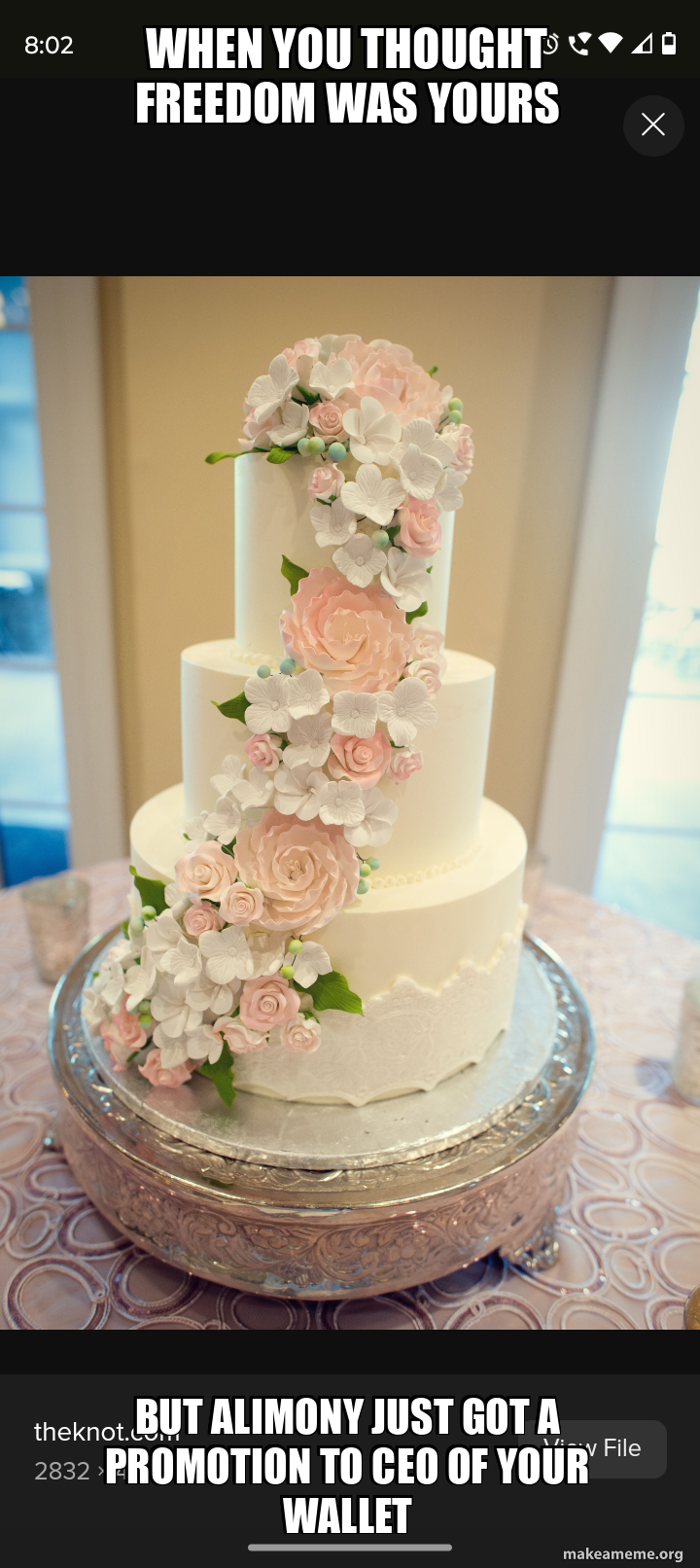 When you thought freedom was yours But alimony just got a promotion to ...