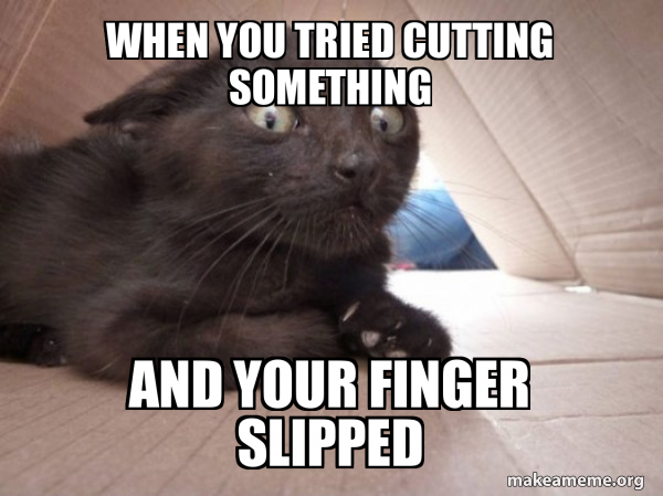 When you tried cutting something and your finger slipped - Schitzo Cat ...