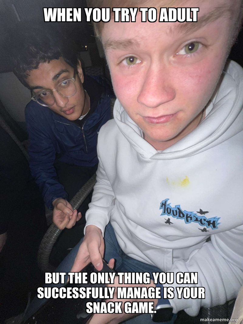 When you try to adult But the only thing you can successfully manage is ...