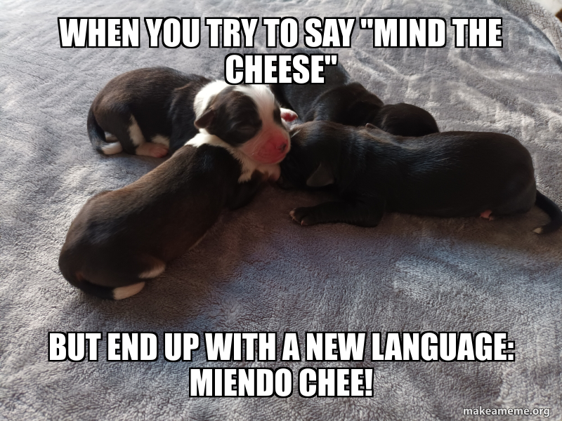 When you try to say "mind the cheese" But end up with a new language ...