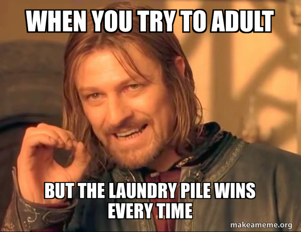 When you try to adult But the laundry pile wins every time - One Does ...