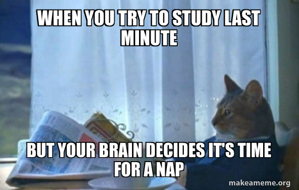 When you try to study last minute But your brain decides it's time for ...