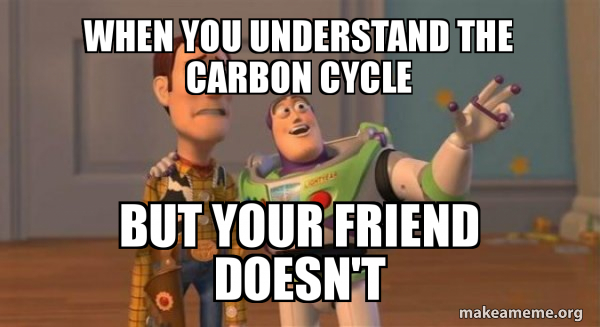 Carbon Cycle Memes The Carbon Cycle,Carbon Dioxide Cycle ( CO2 )