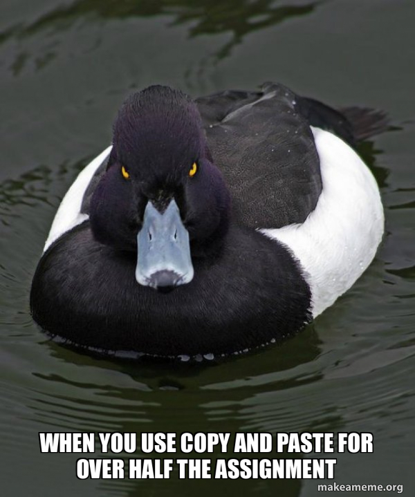when you use copy and paste for over half the assignment - Revenge Duck ...