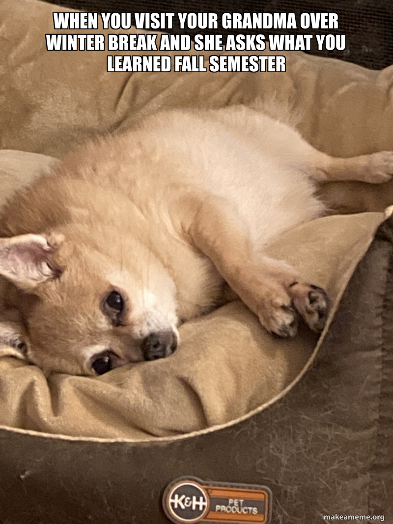 when you visit your grandma over winter break and she asks what you ...