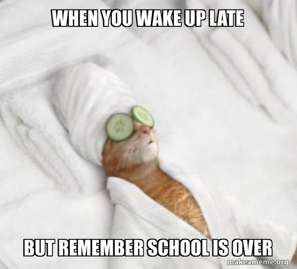 when you wake up late but remember school is over - Pampered Cat Meme ...