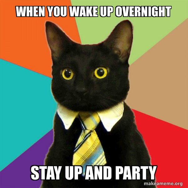 When you wake up overnight Stay up and party - Business Cat Meme Generator