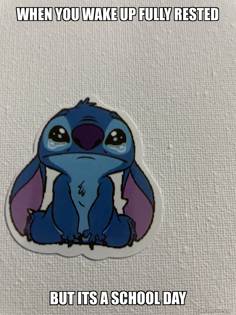 When you wake up fully rested But its a school day Meme Generator