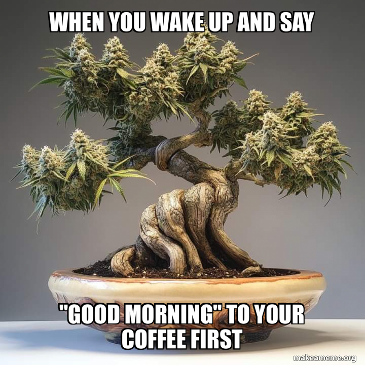 When you wake up and say "Good morning" to your coffee first Meme Generator
