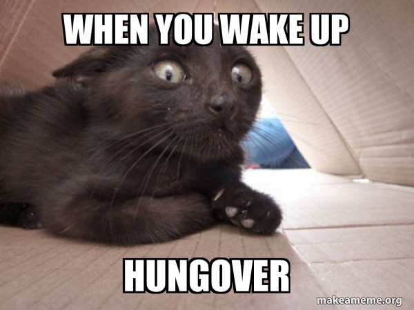 When you wake up hungover - Schitzo Cat Meme Generator
