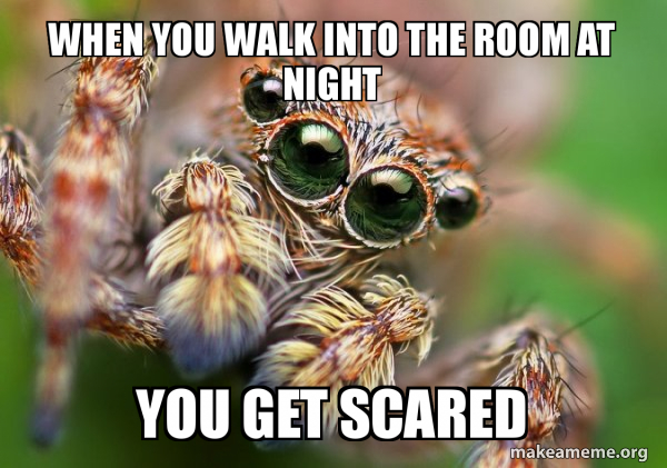 when you walk into the room at night you get scared - Hipster Spider ...