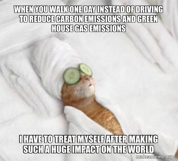 When you walk one day instead of driving to reduce carbon emissions and ...