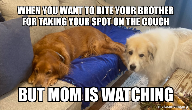When you want to bite your brother for taking your spot on the couch ...