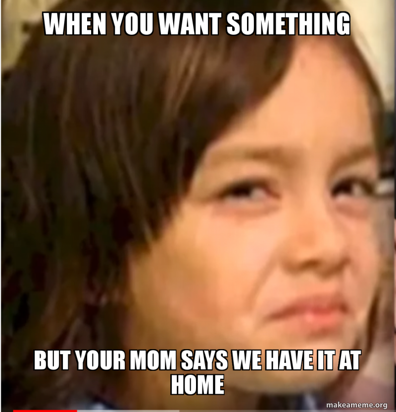 When you want something but your mom says we have it at home Meme Generator