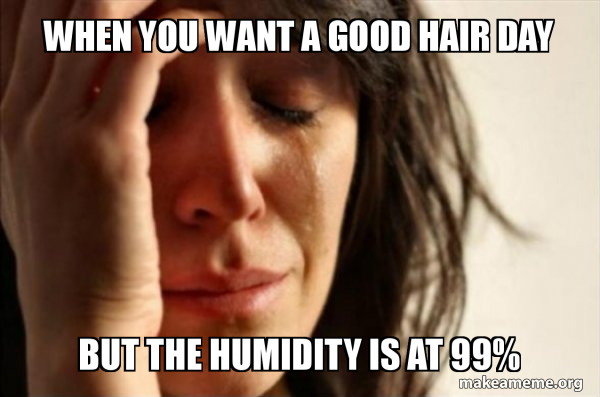 when you want a good hair day but the humidity is at 99% - First World ...