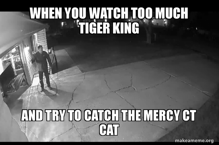 When you watch too much tiger king And try to catch the mercy ct cat ...