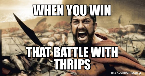 When you win that battle with thrips - The 300 Meme Generator