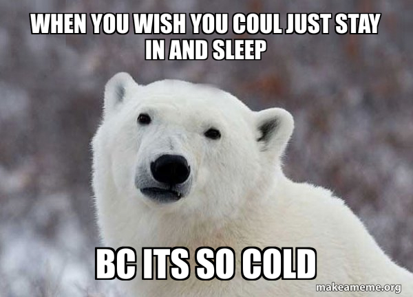 when you wish you coul just stay in and sleep bc its so cold - Popular ...