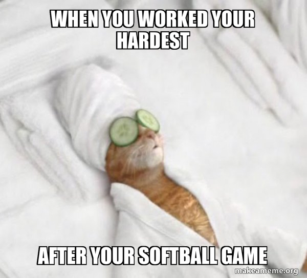 When you worked your hardest After your softball game - Pampered Cat ...
