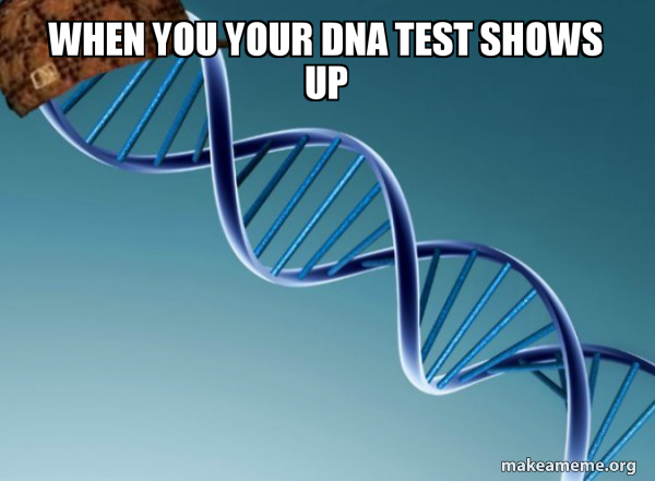 When you your dna test shows up - Scumbag Genetics Meme Generator