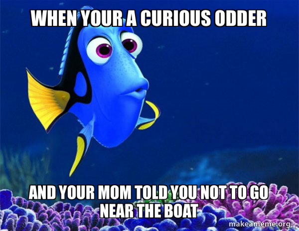 when your a curious odder and your mom told you not to go near the boat ...