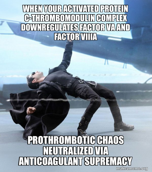 When your activated protein C-thrombomodulin complex downregulates ...