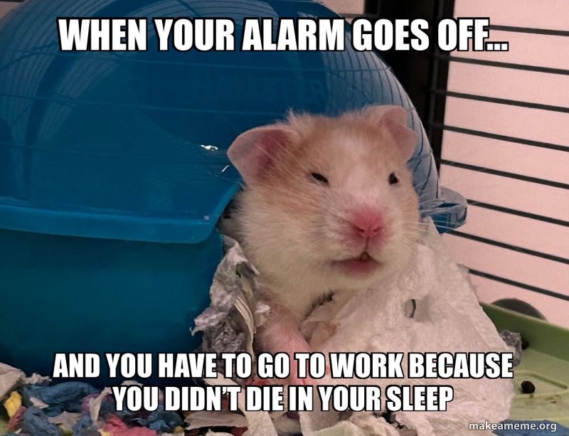 When your alarm goes off… And you have to go to work because you didn’t ...