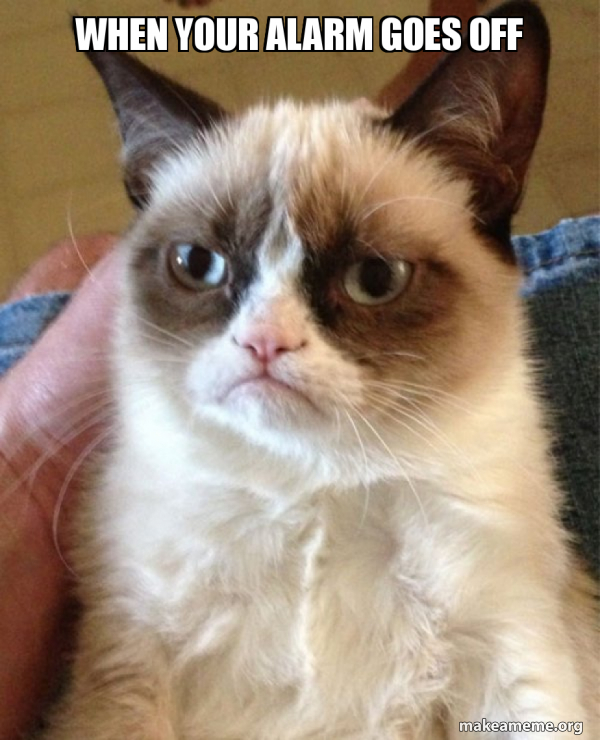 When your alarm goes off - Grumpy Cat | Make a Meme