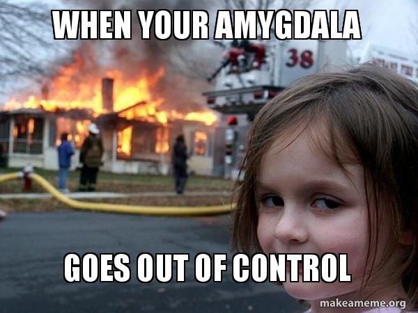 When your amygdala goes out of control - Disaster Girl Meme Generator