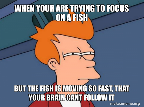 When your are trying to focus on a fish But the fish is moving so fast ...