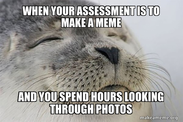 When your assessment is to make a meme and you spend hours looking ...