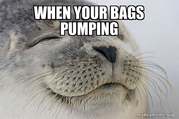 when your bags pumping - Satisfied Seal Meme Generator