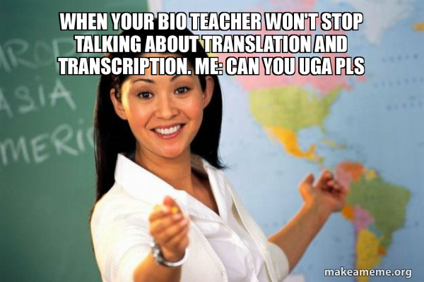 When your bio teacher won't stop talking about translation and ...