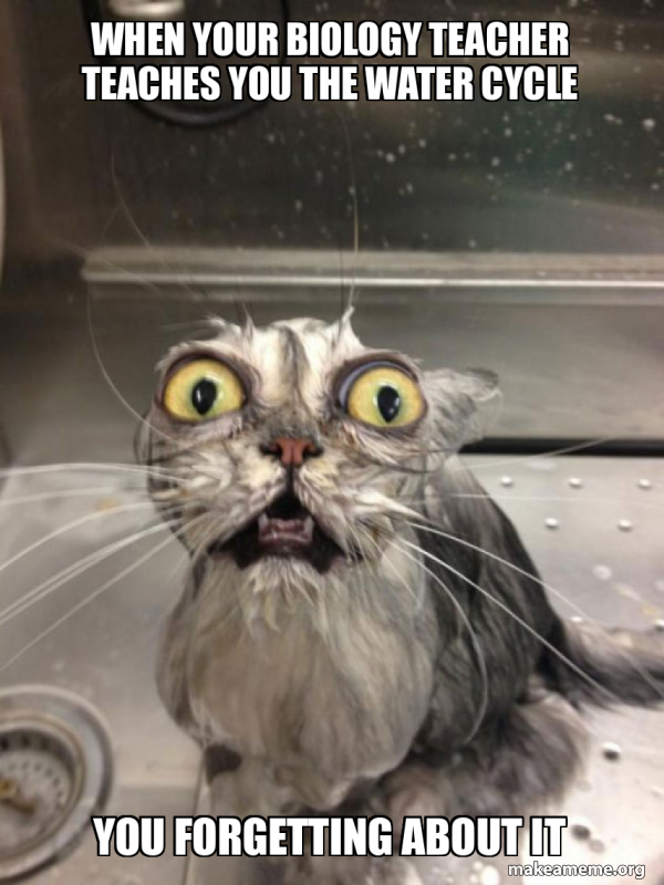 When Your biology teacher teaches you the water cycle you forgetting ...