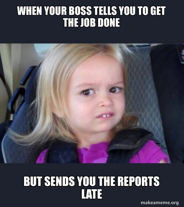When your boss tells you to get the job done but sends you the reports ...