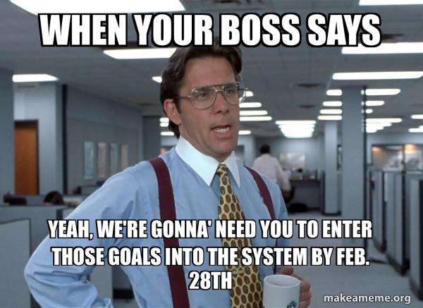 When your boss says Yeah, we're gonna' need you to enter those goals ...