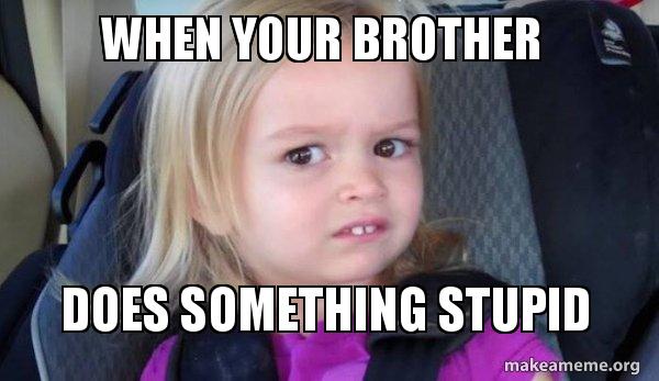 when your brother does something stupid - Side-Eyes Chloe Meme Generator