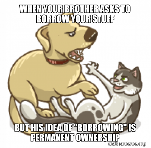 When your brother asks to borrow your stuff But his idea of "borrowing ...