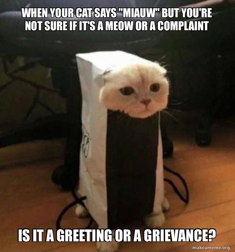 When your cat says "Miauw" but you're not sure if it's a meow or a ...
