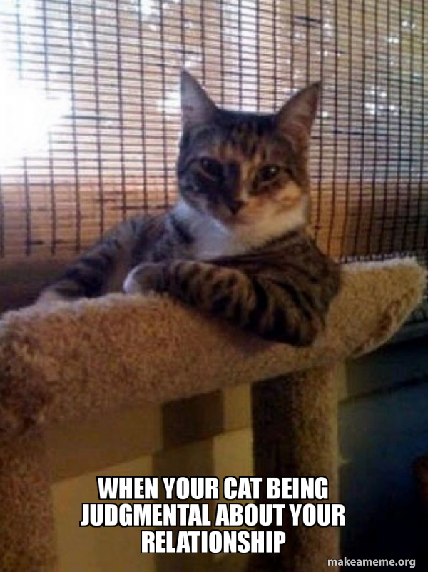 Judgmental Meme Introvert Memes Introvert Memes Added A New Photo.