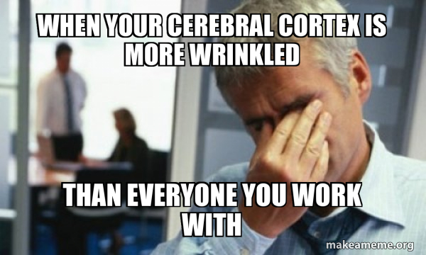 WHEN YOUR CEREBRAL CORTEX IS MORE WRINKLED THAN EVERYONE YOU WORK WITH ...