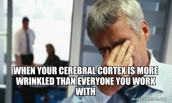 WHEN YOUR CEREBRAL CORTEX IS MORE WRINKLED THAN EVERYONE YOU WORK WITH ...