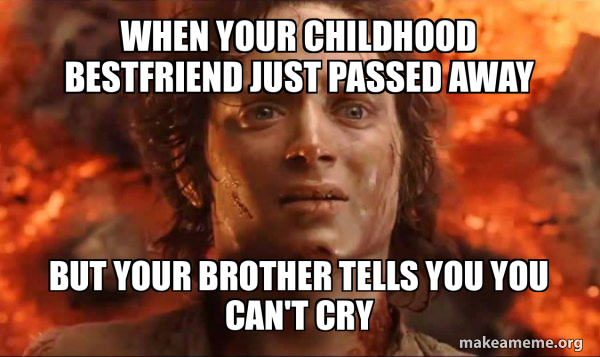 when your childhood bestfriend just passed away but your brother tells ...