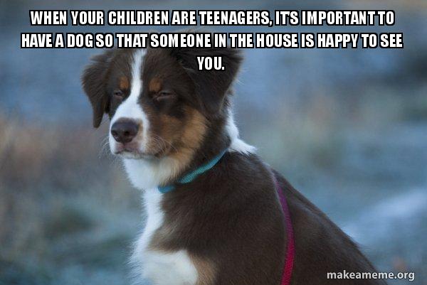 When your children are teenagers, it's important to have a dog so that ...