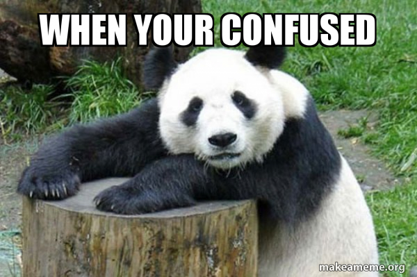 when your confused - Confession Panda Meme Generator