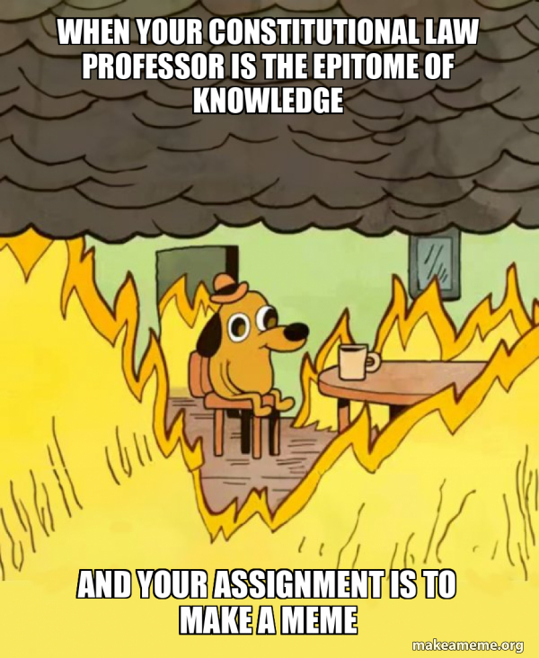 When your constitutional law professor is the epitome of knowledge And ...