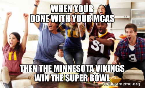 When your done with your mcas then the minnesota vikings win the super ...